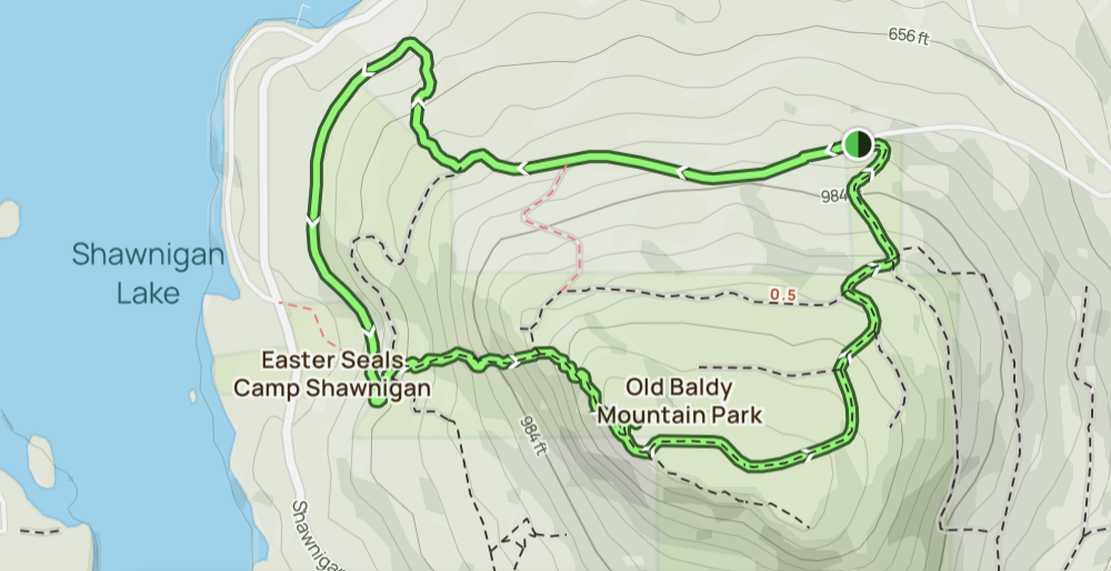 Old Baldy Trail: 5 Reasons to Love This Epic Viewpoint (2026 Guide)